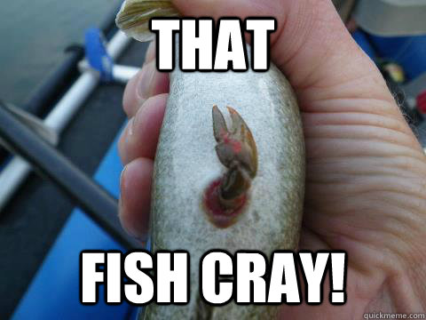 That Fish Cray! - Misc - quickmeme