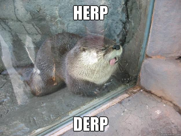 HERP DERP - DERP OTTER - quickmeme