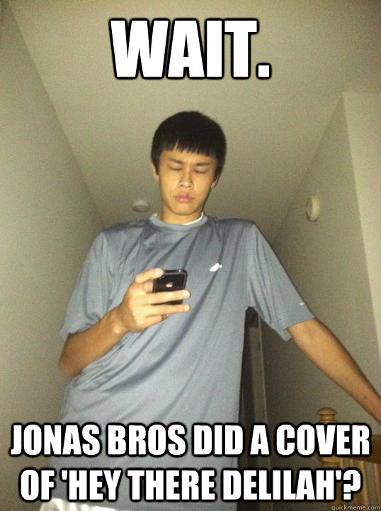 Wait. Jonas Bros did a cover of 'Hey There Delilah'? - Misc - quickmeme
