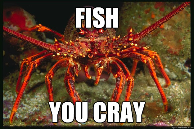 fISH You cray - Misc - quickmeme
