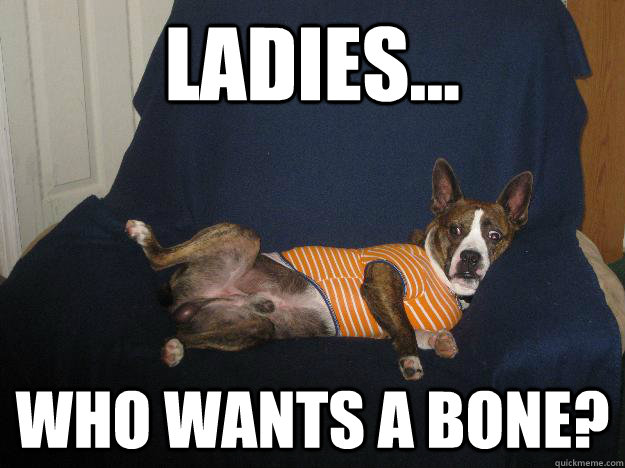 Lady killer dog memes | quickmeme