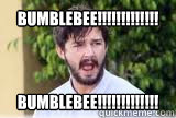 BUMBLEBEE!!!!!!!!!!!!! BUMBLEBEE!!!!!!!!!!!!! - Overly Dramatic Shia Labeouf - quickmeme