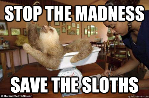 STOP THE MADNESS save the sloths - Dramatic Sloth - quickmeme