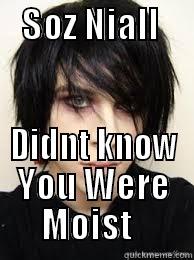 soz niall - quickmeme