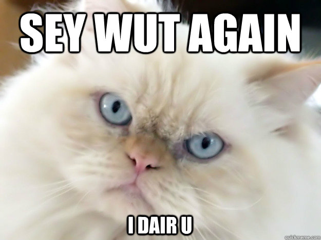 Sey wut again I dair u - Samuel L. Catson - quickmeme