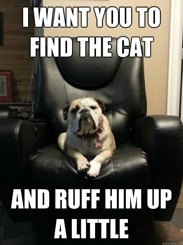 I want you to find the cat and ruff him up a little - Misc - quickmeme