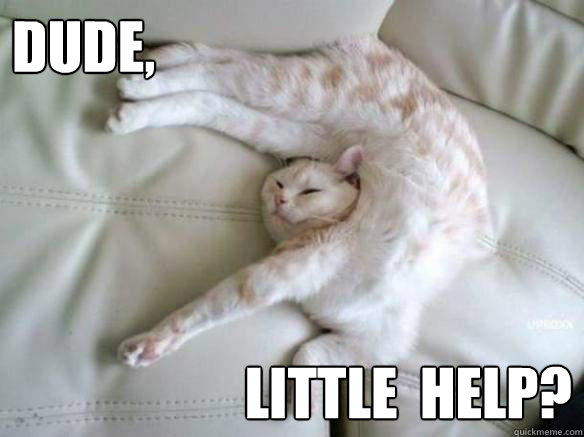 Dude, Little help? - Overstretched Kitty - quickmeme