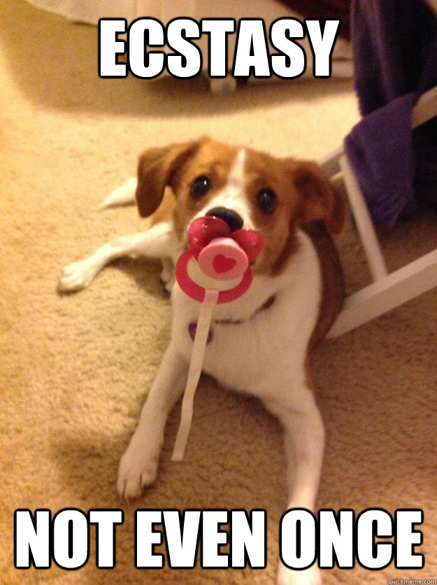Ecstasy Not Even Once - Misc - quickmeme