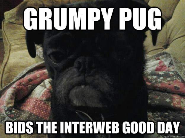 Grumpy pug bids the interweb good day - Original Grumpy Pug - quickmeme
