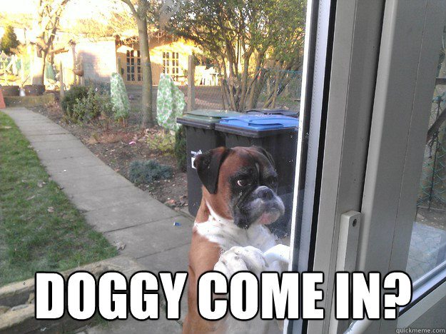 Doggy come in? - Doggy come in - quickmeme