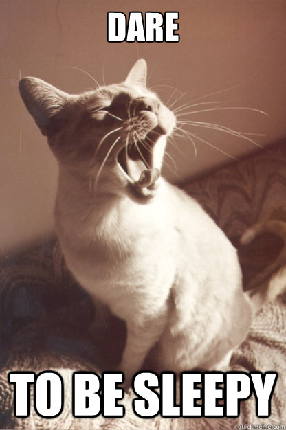 It's sunday Leave me the fuck Alone - Sleepy cat - quickmeme