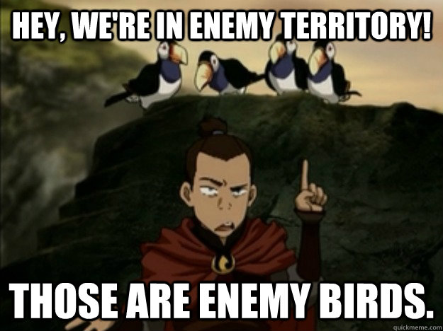 Hey, we're in enemy territory! Those are enemy birds. - Enemy Birds - quickmeme