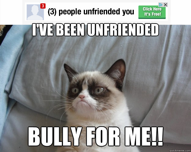 i've been unfriended bully for me!! - Grumpy Cat on Being Unfriended - quickmeme