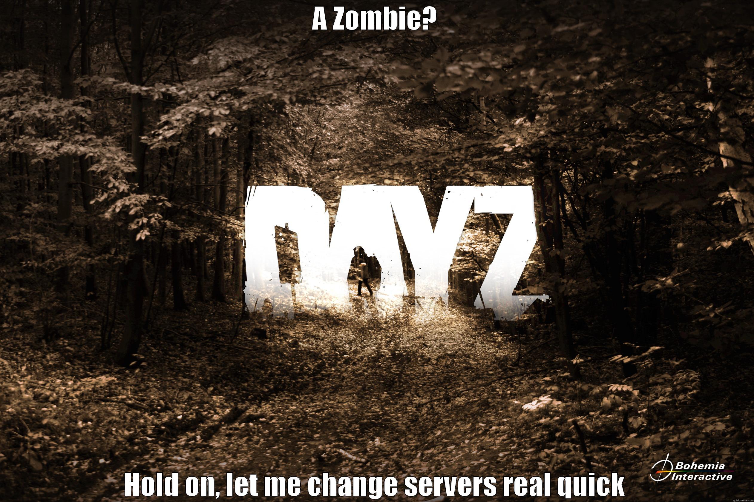 How to Solve Problems in DayZ Standalone - quickmeme