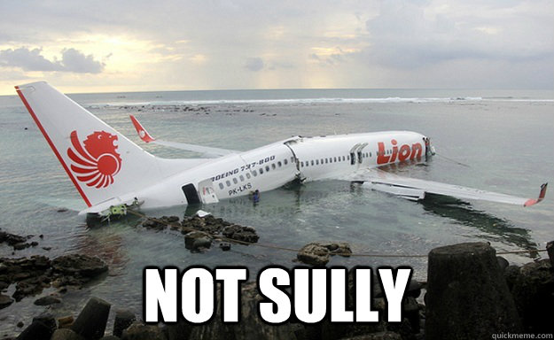 Not sully - Not Sully - quickmeme