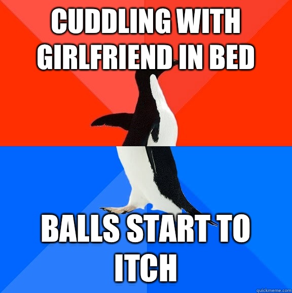 Cuddling with girlfriend in bed Balls start to itch - Socially Awesome Awkward Penguin - quickmeme