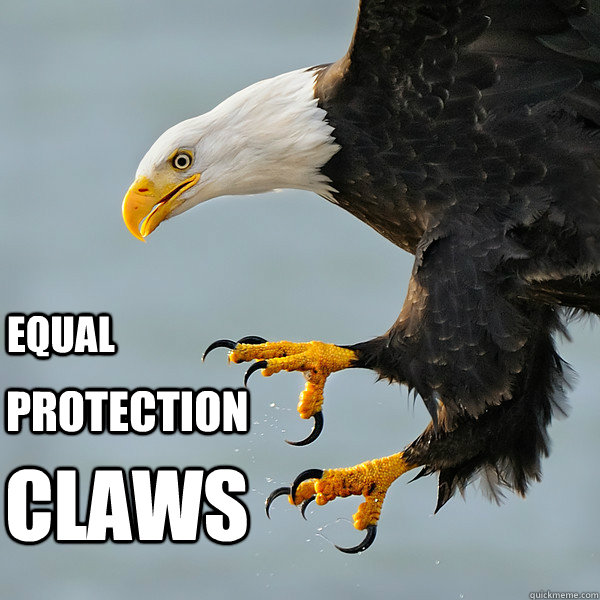 Equal Protection Claws - EPC Eagle - quickmeme