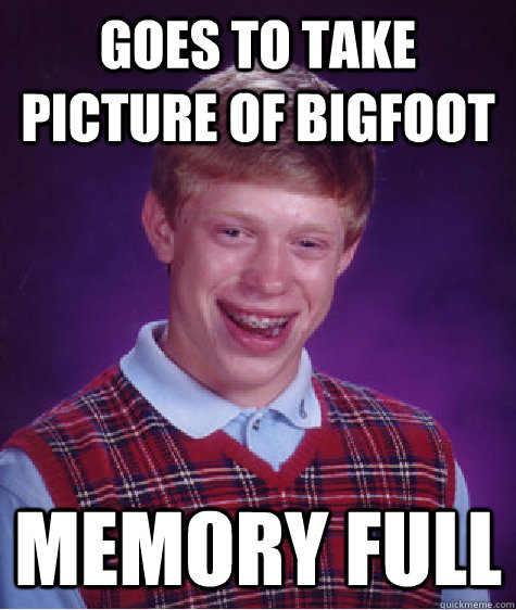 Goes to take picture of bigfoot Memory Full - Misc - quickmeme