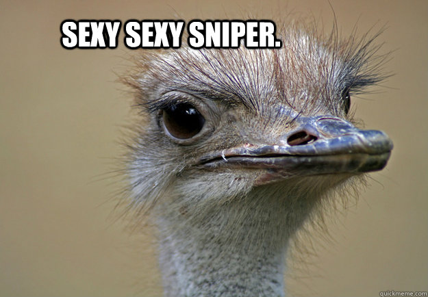 Sexy Sexy Sniper memes | quickmeme
