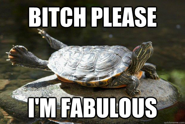 BITCH PLEASE I'M FABULOUS - Sassy Turtle - quickmeme