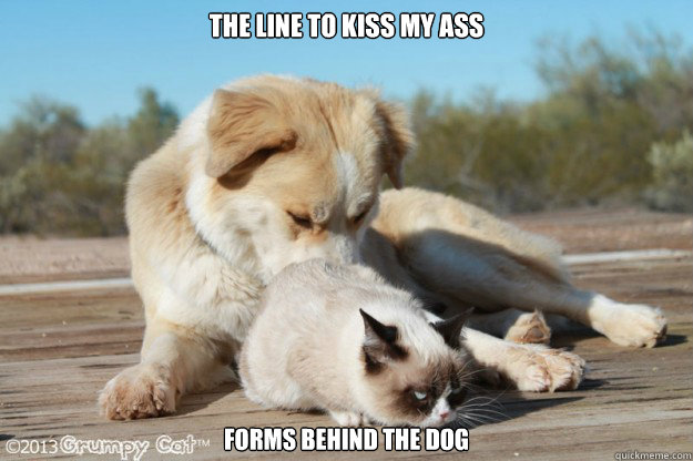 The line to kiss my ass forms behind the dog - GrumpKiss - quickmeme