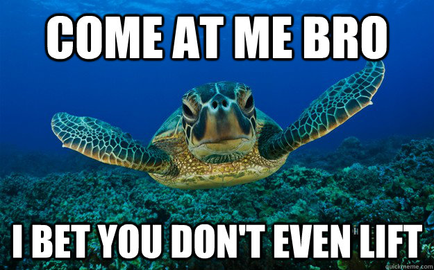 Come at me bro I bet you don't even lift - Come At Me Turtle - quickmeme