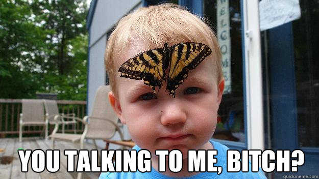You talking to me, Bitch? - Misc - quickmeme