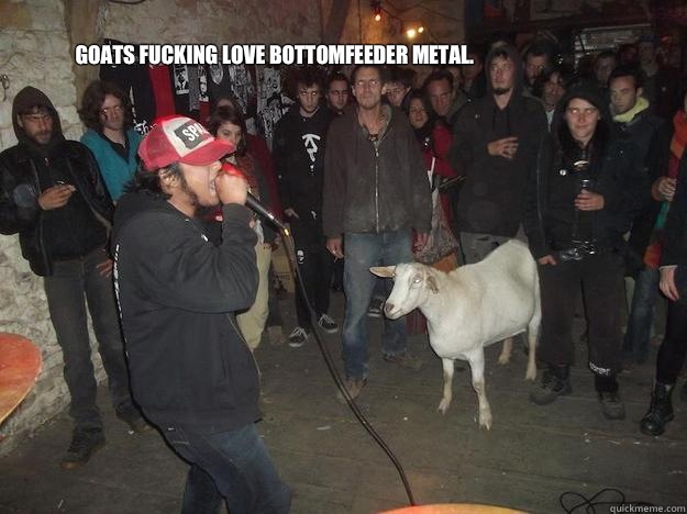 Goats fucking love bottomfeeder metal. - metal goat - quickmeme