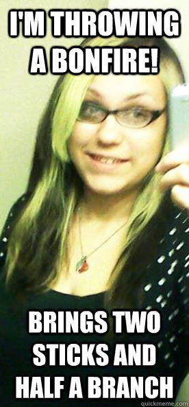 I'm throwing a bonfire! Brings two sticks and half a branch - Scumbag Kitty - quickmeme