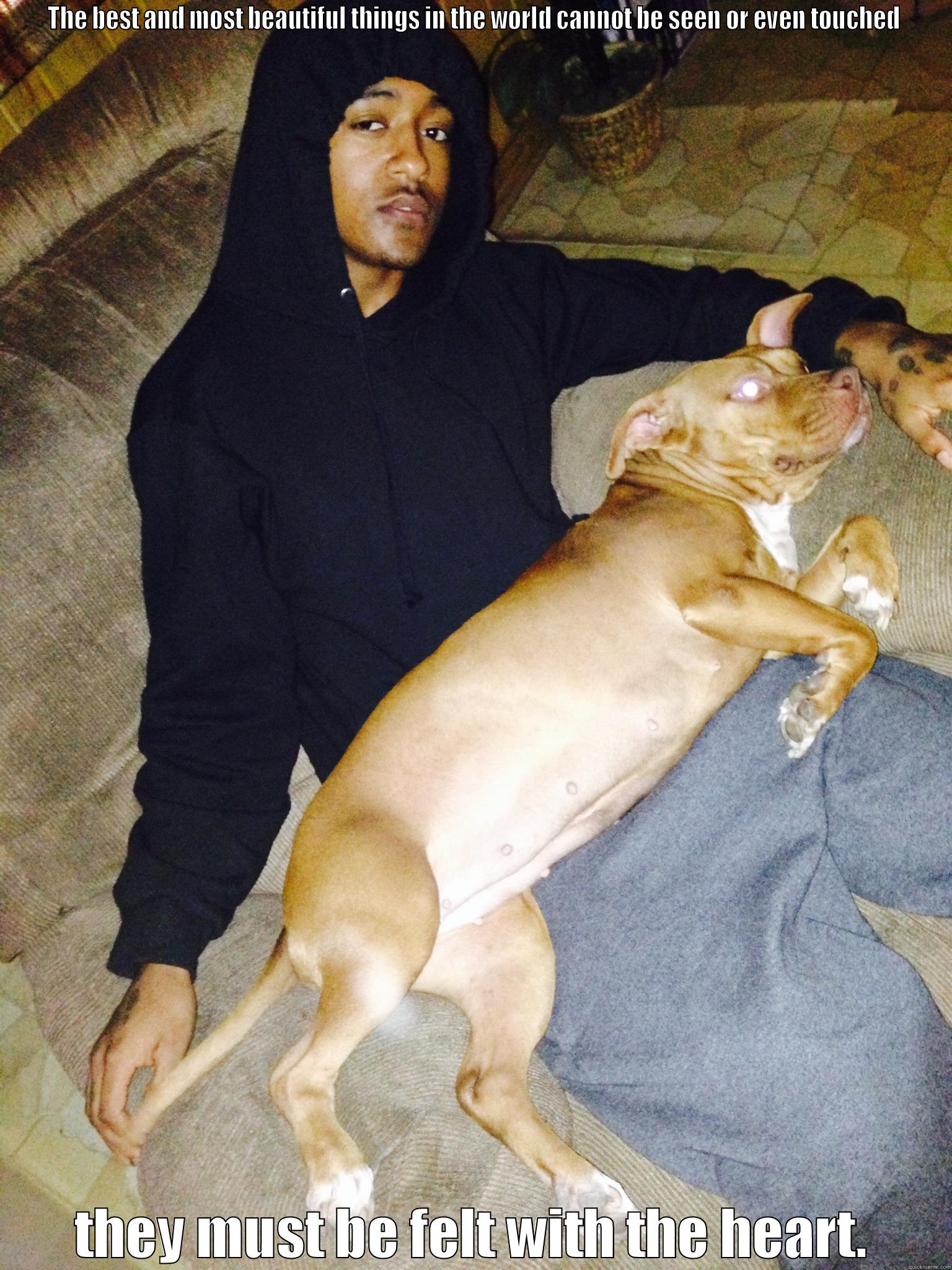 Young Cam - quickmeme