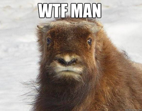wtf man - Misc - quickmeme
