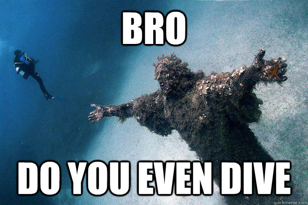 Bro Do you even dive - Misc - quickmeme