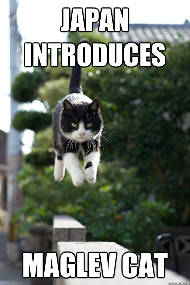 JAPAN INTRODUCES MAGLEV CAT - Maglev Cat - quickmeme