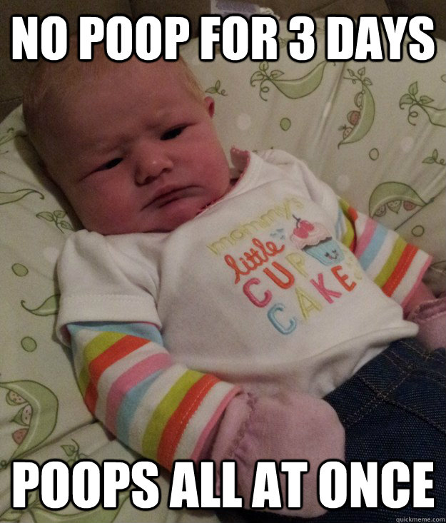 no poop for 3 days poops all at once - ivy poop - quickmeme