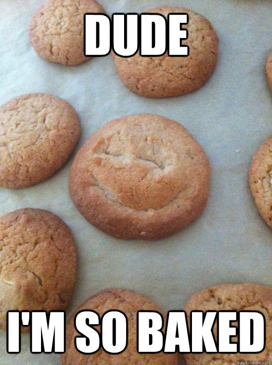 Dude I'm so baked - Bob The Baked Cookie - quickmeme