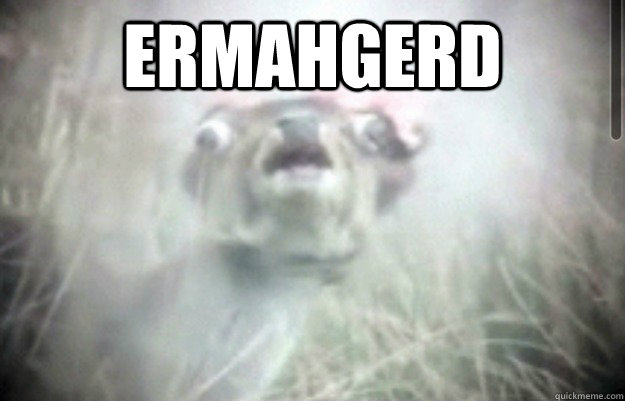 ermahgerd - Misc - quickmeme