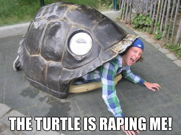 The Turtle is raping me! - Turtle Dude - quickmeme