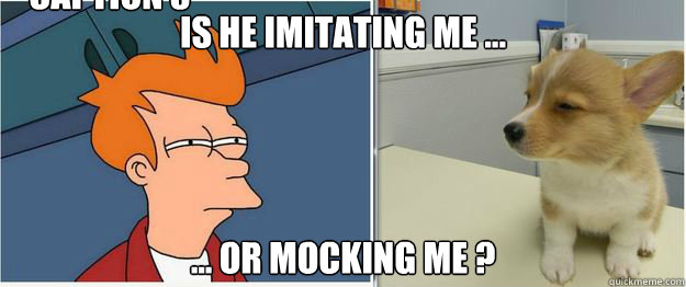 Fry Dog Staredown Memes Quickmeme fry-dog-staredown-memes-quickmeme
