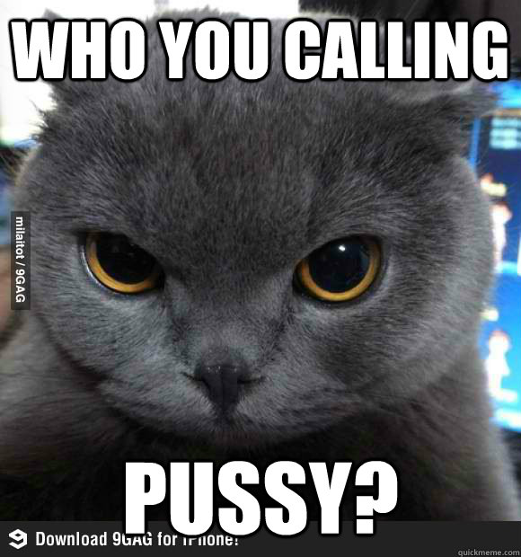 Who you calling Pussy? - serious kitten - quickmeme