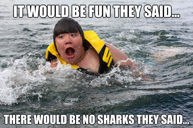 Sharks memes | quickmeme