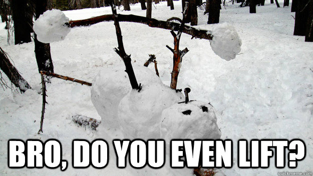 Bro, do you even lift? - Misc - quickmeme