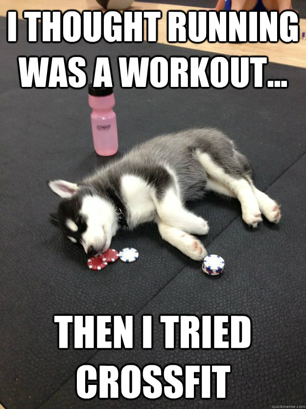 I thought running was a workout... Then I tried CrossFit - Gym dog on running. - quickmeme
