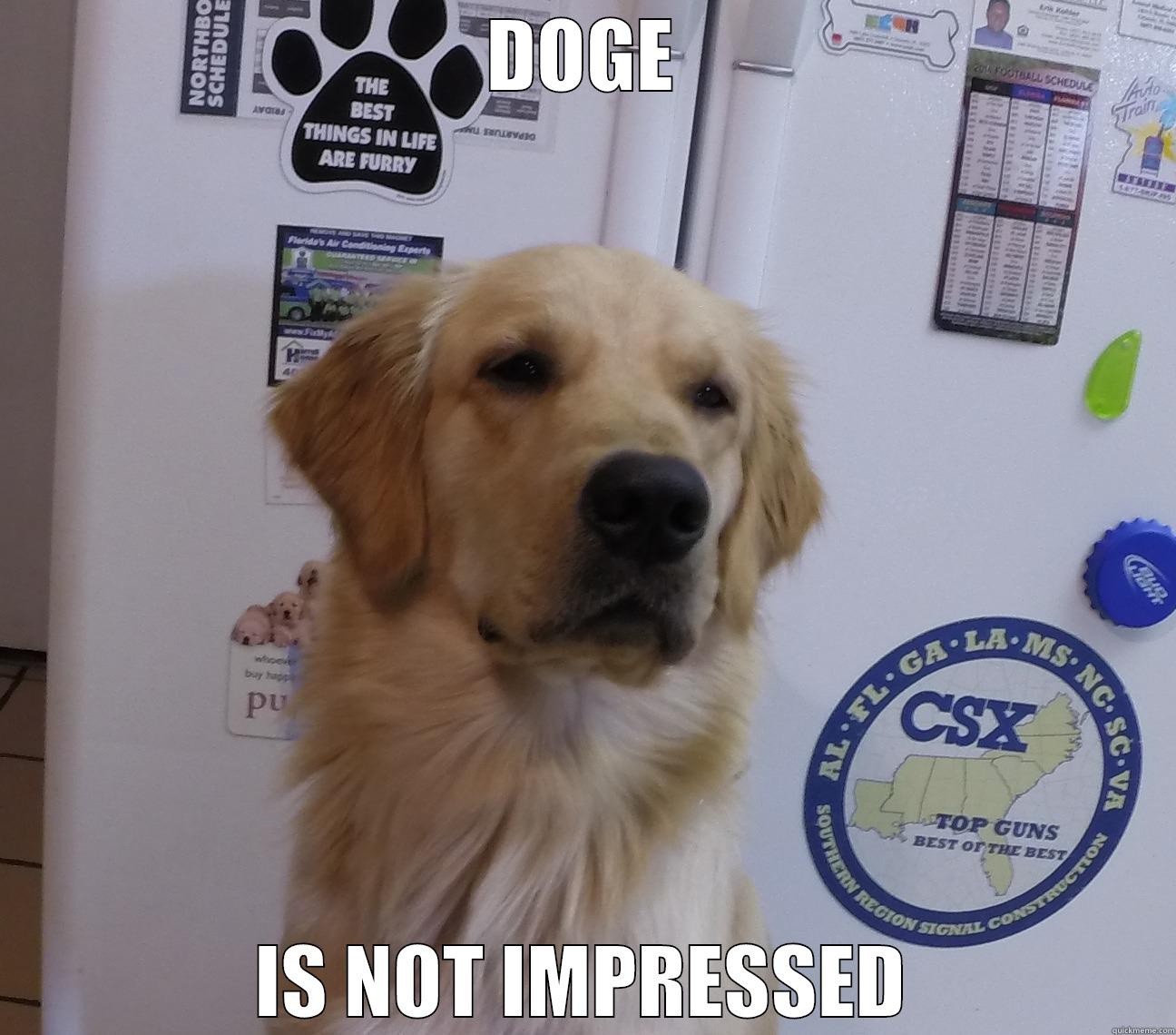 aidan doge - quickmeme