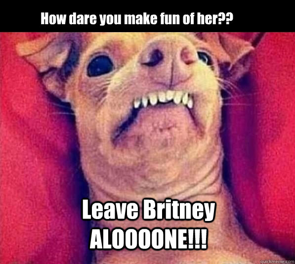 How dare you make fun of her?? Leave Britney ALOOOONE!!! - Britneys Biggest Fan - quickmeme