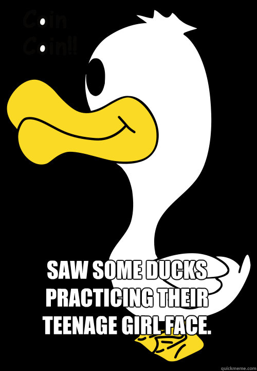 saw some ducks practicing their teenage girl face. - Misc - quickmeme