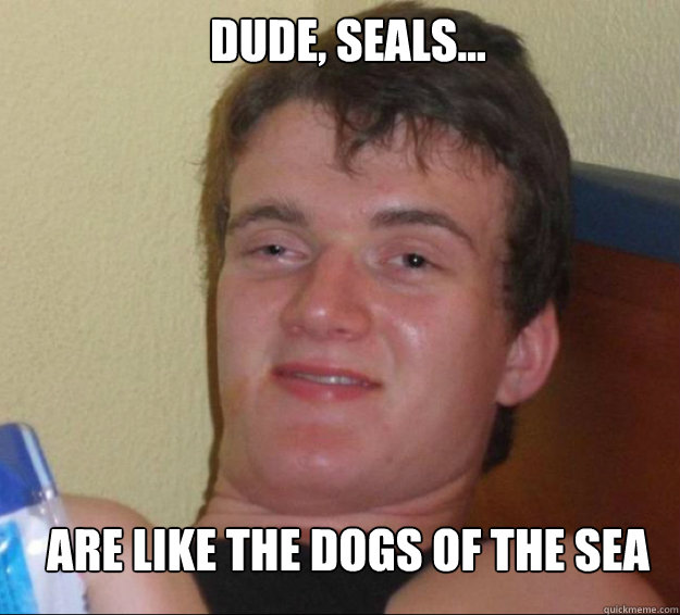 Dude, Seals... Are like the Dogs of the Sea - 10guy - quickmeme