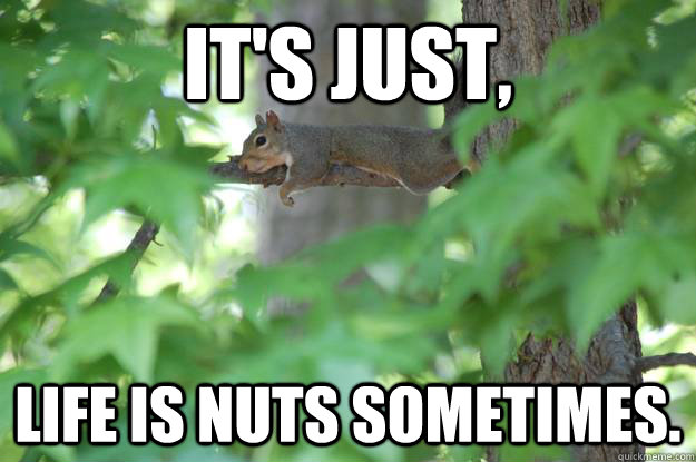 It's just, Life is nuts sometimes. - Misc - quickmeme