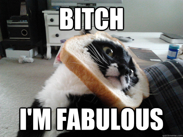 bitch i'm fabulous - Breaded Cat - quickmeme