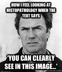 histopathology squint memes | quickmeme
