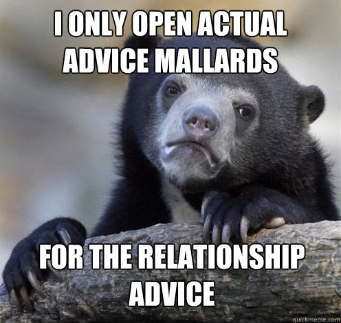 I ONLY OPEN ACTUAL ADVICE MALLARDS FOR THE RELATIONSHIP ADVICE - Confession Bear Eating - quickmeme